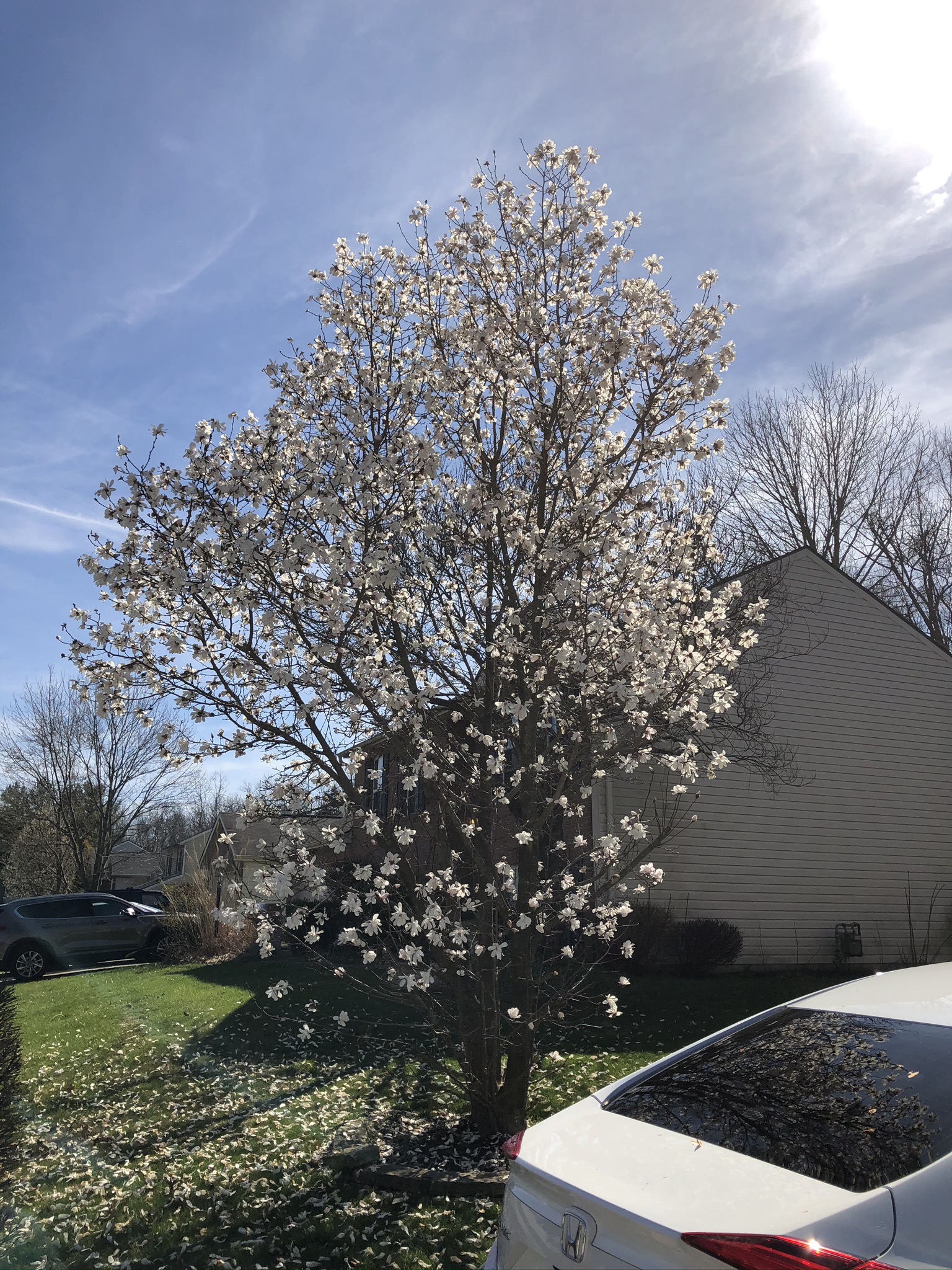 Our Spring – Treasures in Plain Sight, A Christian Blog