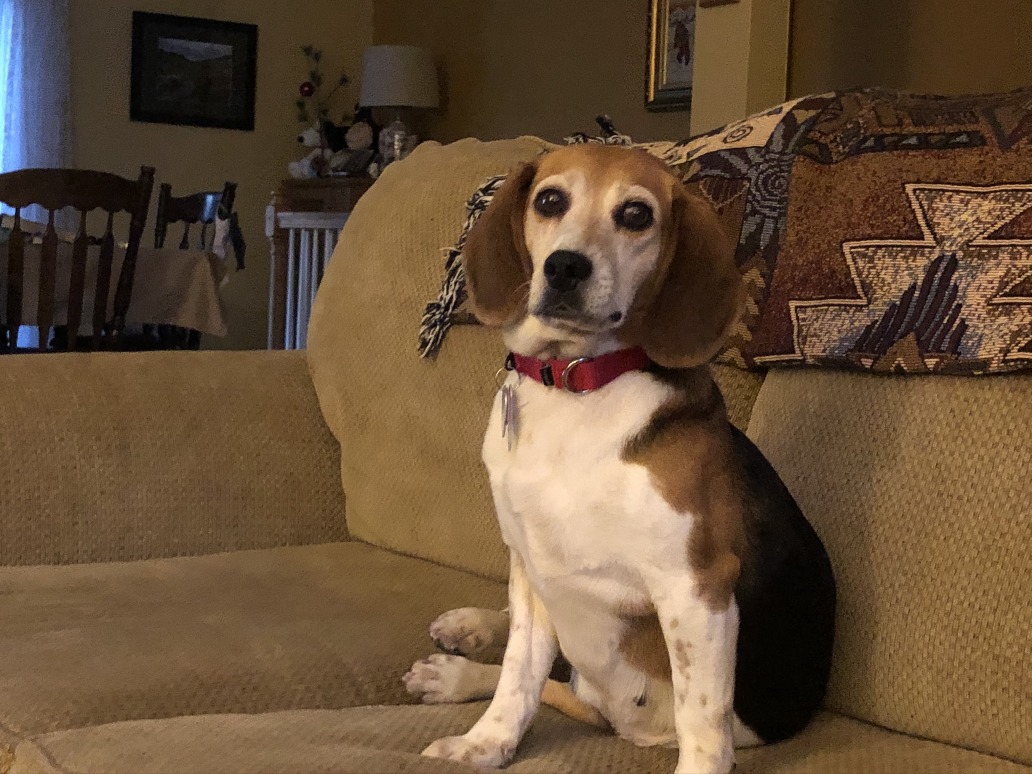 Language Humor – Treasures in Plain Sight, A Christian Blog