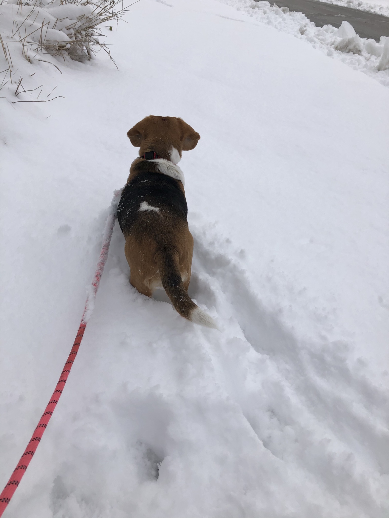 Exceeding Expectations – Treasures in Plain Sight, A Christian Blog