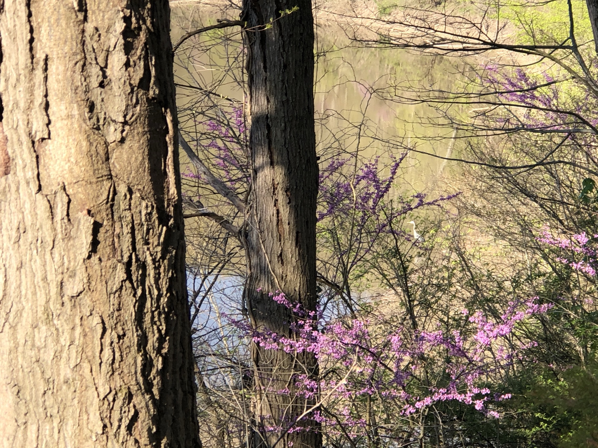 April in Ohio – Treasures in Plain Sight, A Christian Blog