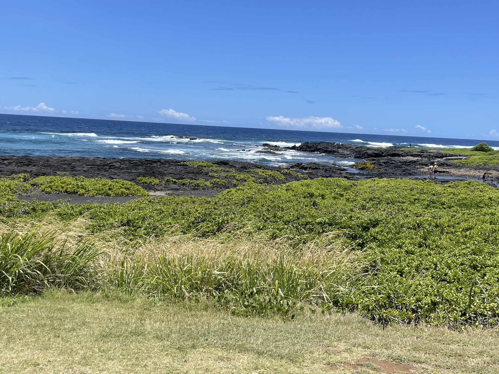 Kauila and The Sea Turtles of Punalu’u – Treasures in Plain Sight, A ...