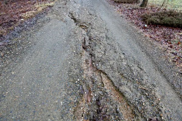 Paved With – Treasures in Plain Sight, A Christian Blog