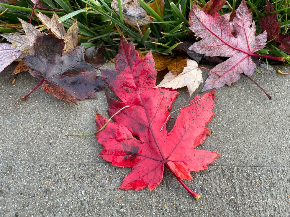 Move A Snowflake – Treasures in Plain Sight, A Christian Blog