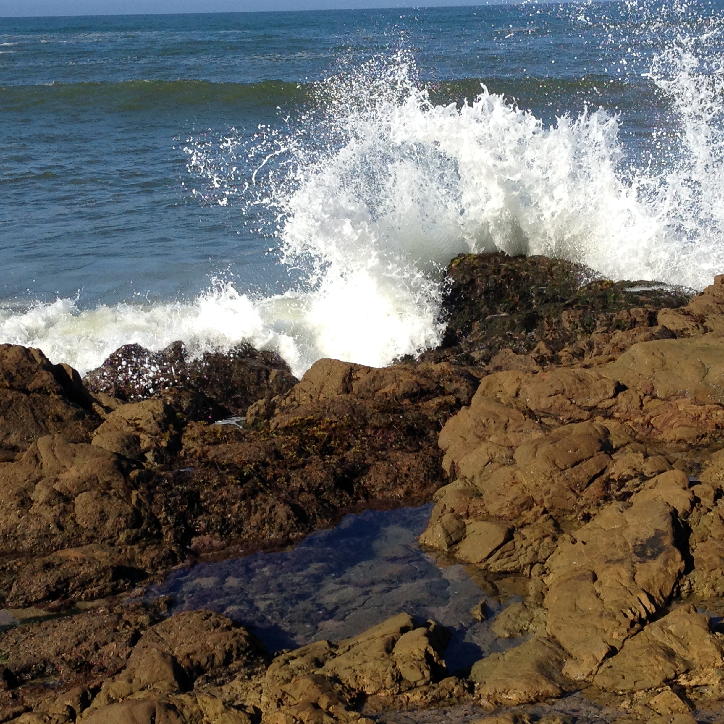 The Elements – Treasures in Plain Sight, A Christian Blog