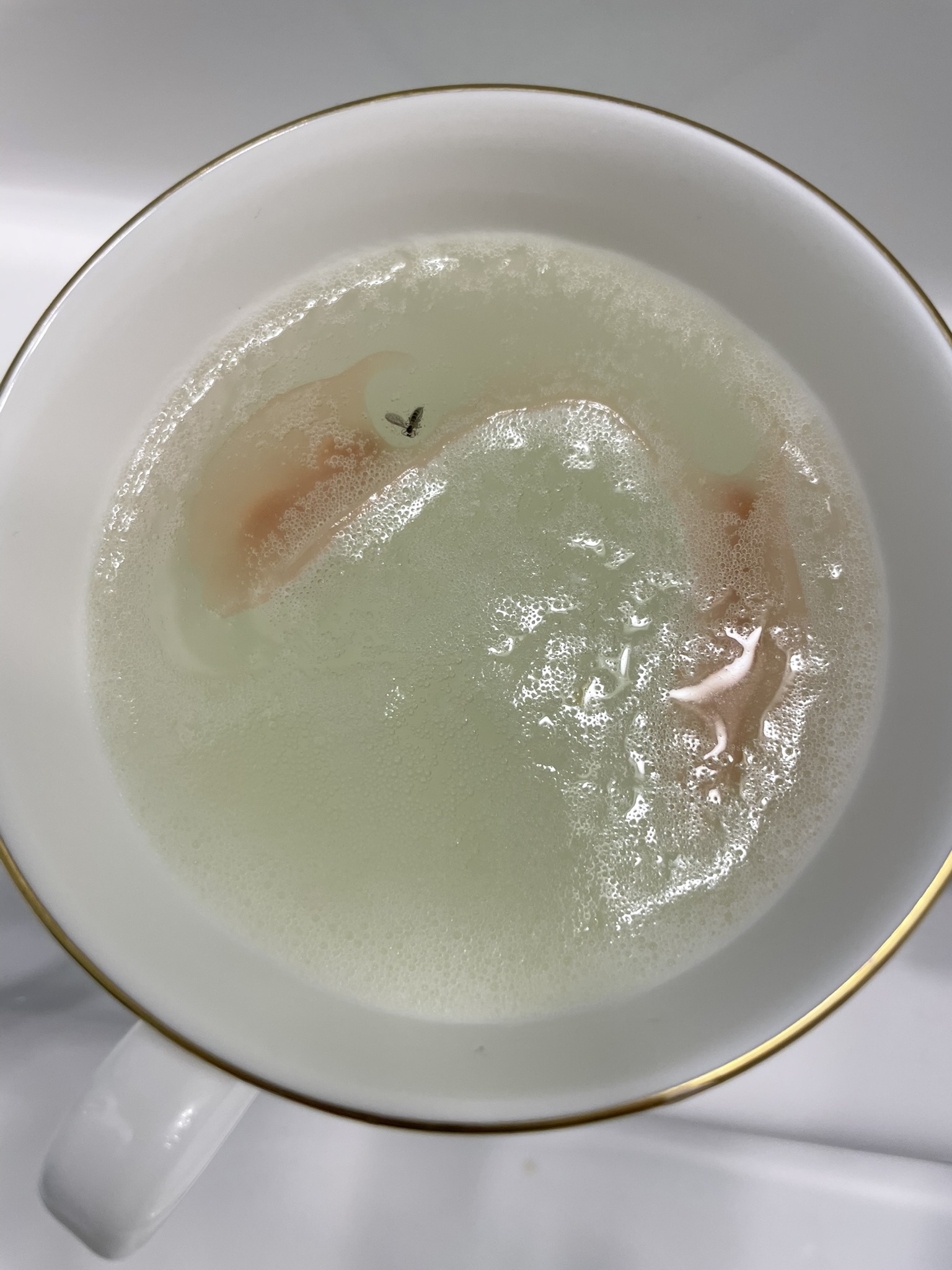 Humor and Grossness – Treasures in Plain Sight, A Christian Blog